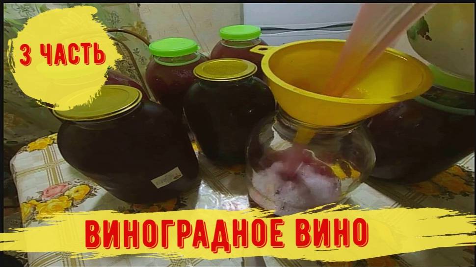 Делаем домашнее вино из трех сортов винограда 3 Часть  Финал