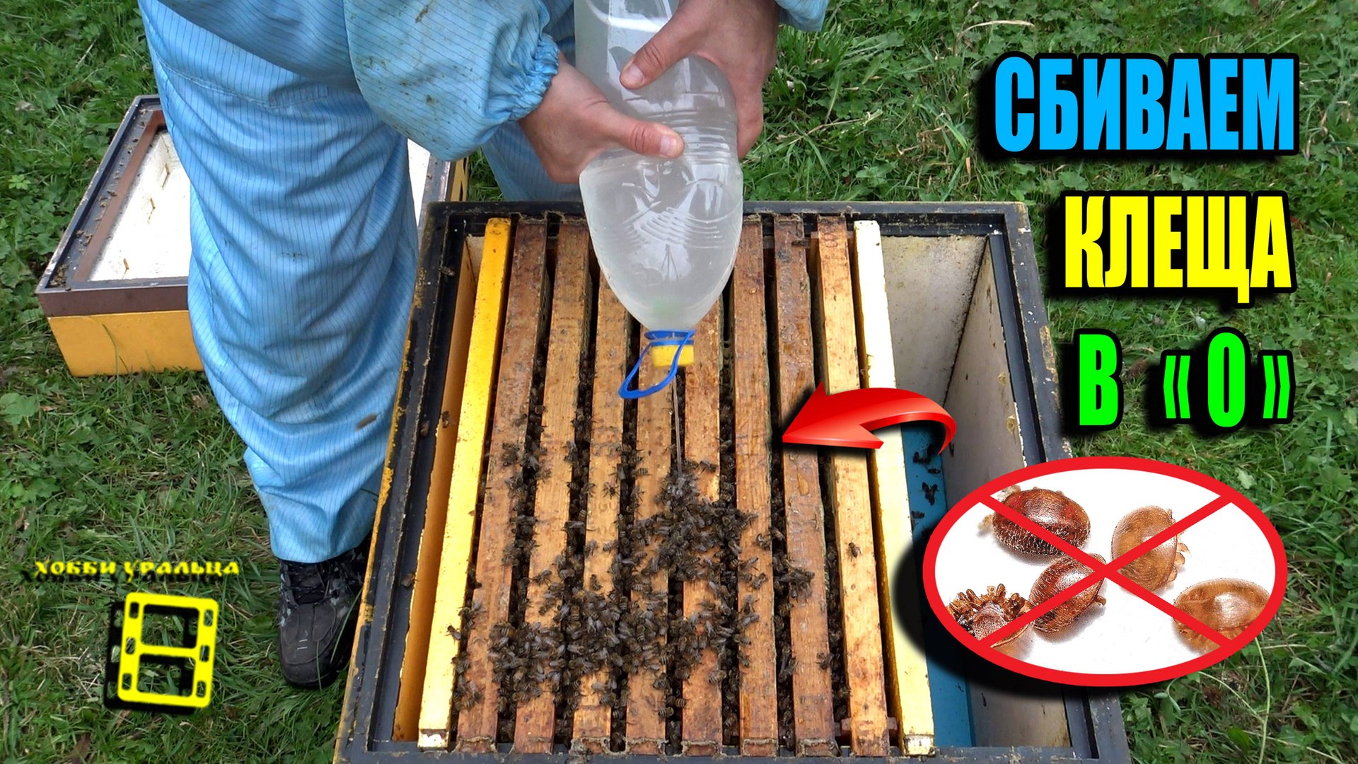 БЕЗ ЭТОЙ ОБРАБОТКИ КЛЕЩ ВАРРОА УБЬЕТ ПЧЕЛИНЫЕ СЕМЬИ. ПЧЕЛОВОДСТВО 25-35