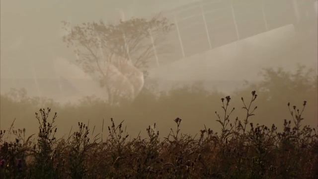 8 песен на стихи Марины Цветаевой