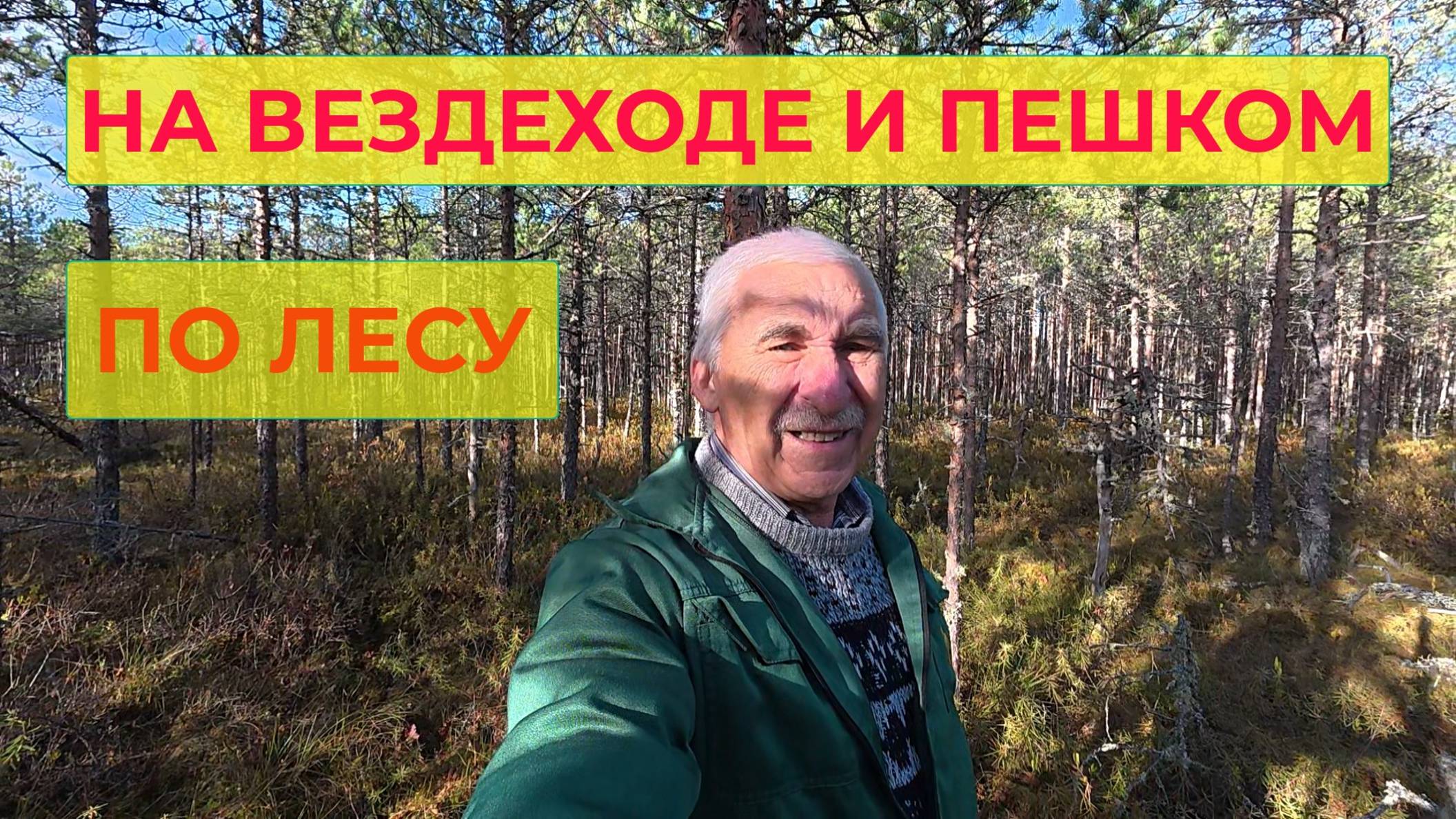 На Вездеходе Катаюсь и по Заболоченному Лесу пробираюсь