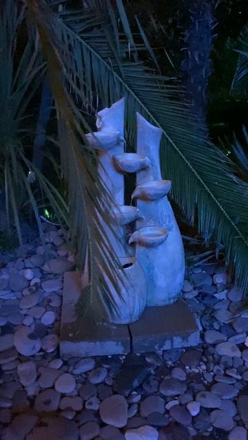 Вечерний Сочи.