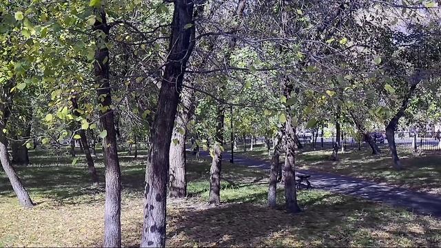 Осень в парке Перовского Видео Виктор Поживин Оренбург 3.10. 25.