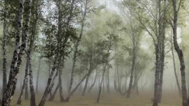 Чайковский - Времена года - Август