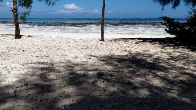 Хэй,кам ту Занзибар,лавли Занзибар!Приезжай-тут недалеко!