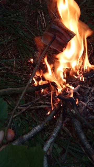 Коптим вкусное сало на костре в лесу.Лес костер