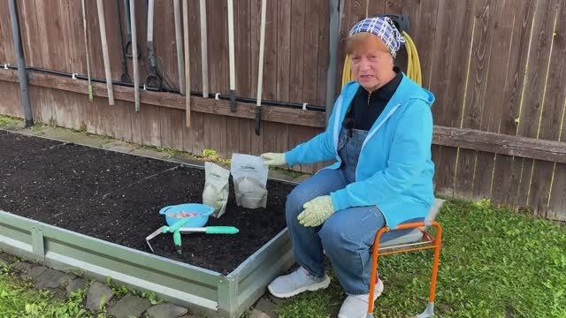 Посадка чеснока. Сроки.