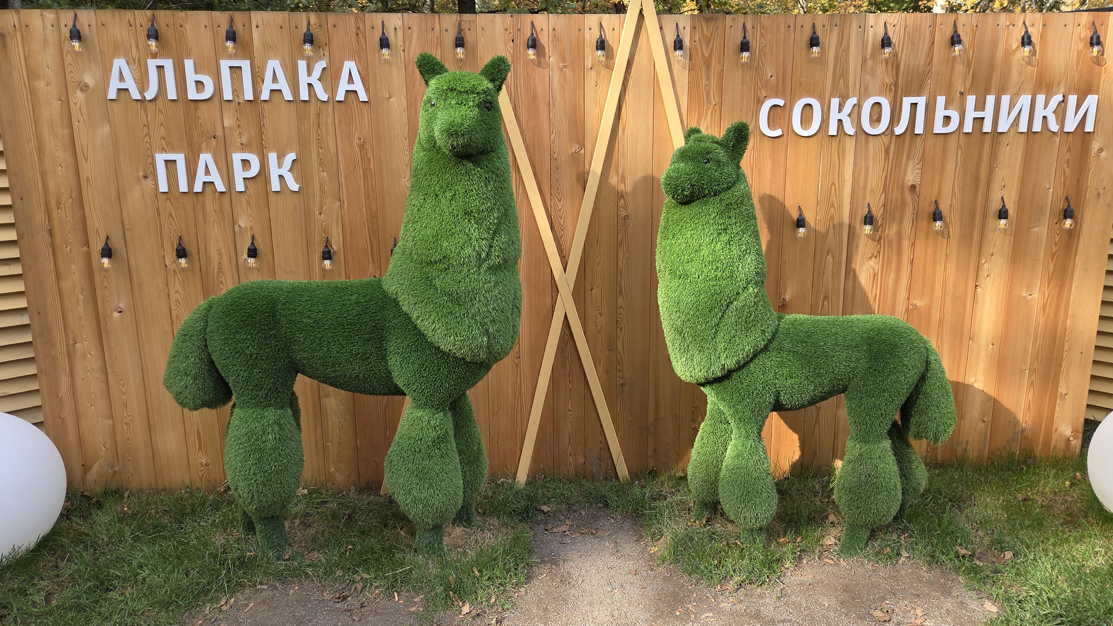 Альпака парк