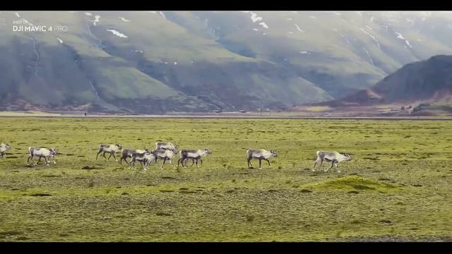 Норвегия, Лофотенские острова с дрона, промо-ролик от производителя Мавиков