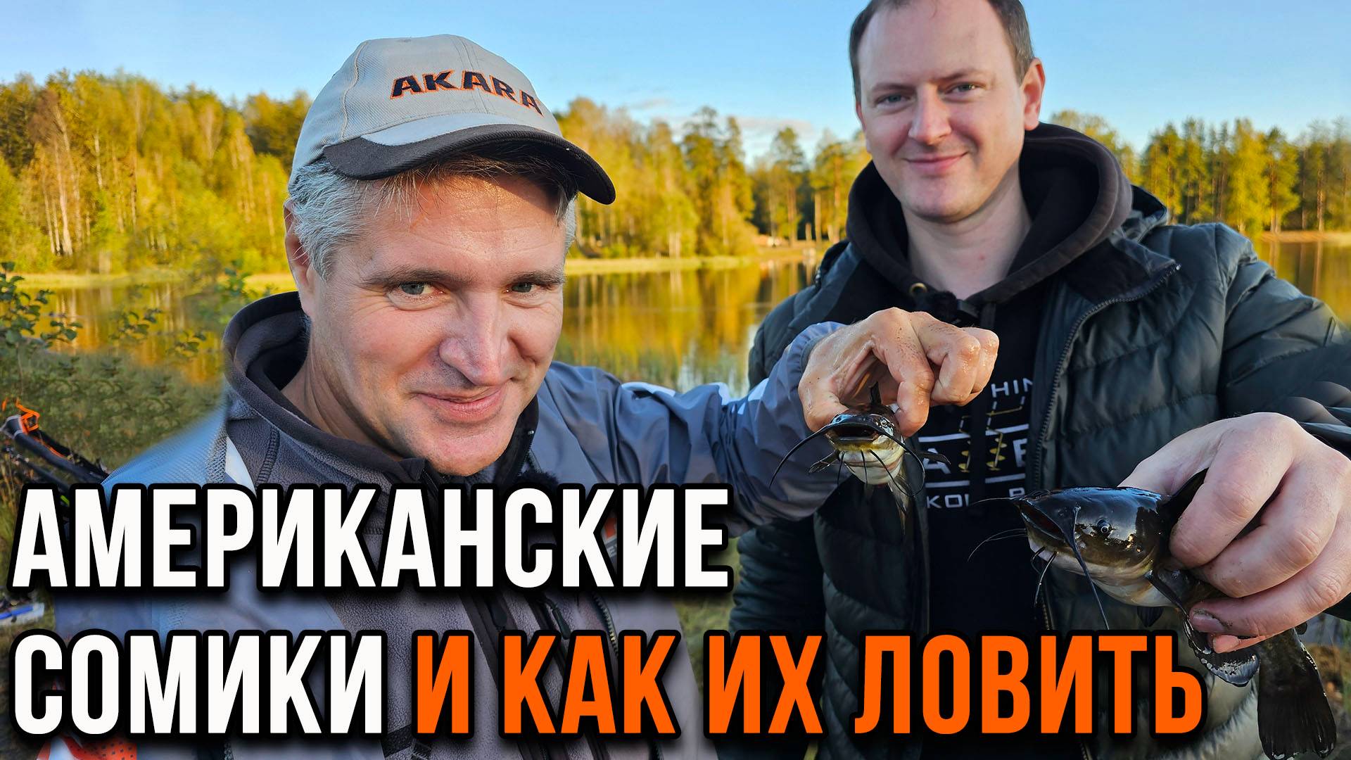 Сомики и как их ловят.