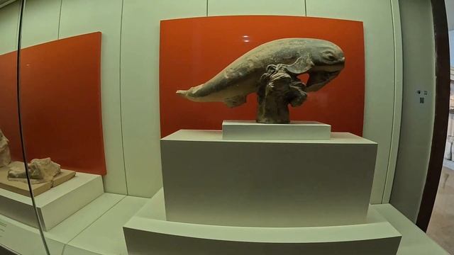 Археологический Музей ОлимпииΑρχαιολογικό Μουσείο Ολυμπίας