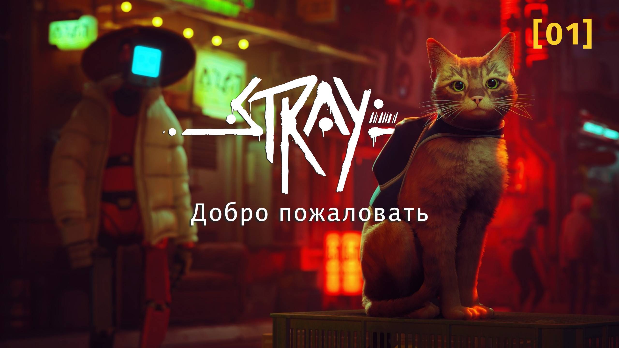 Stray | 01 | Добро пожаловать
