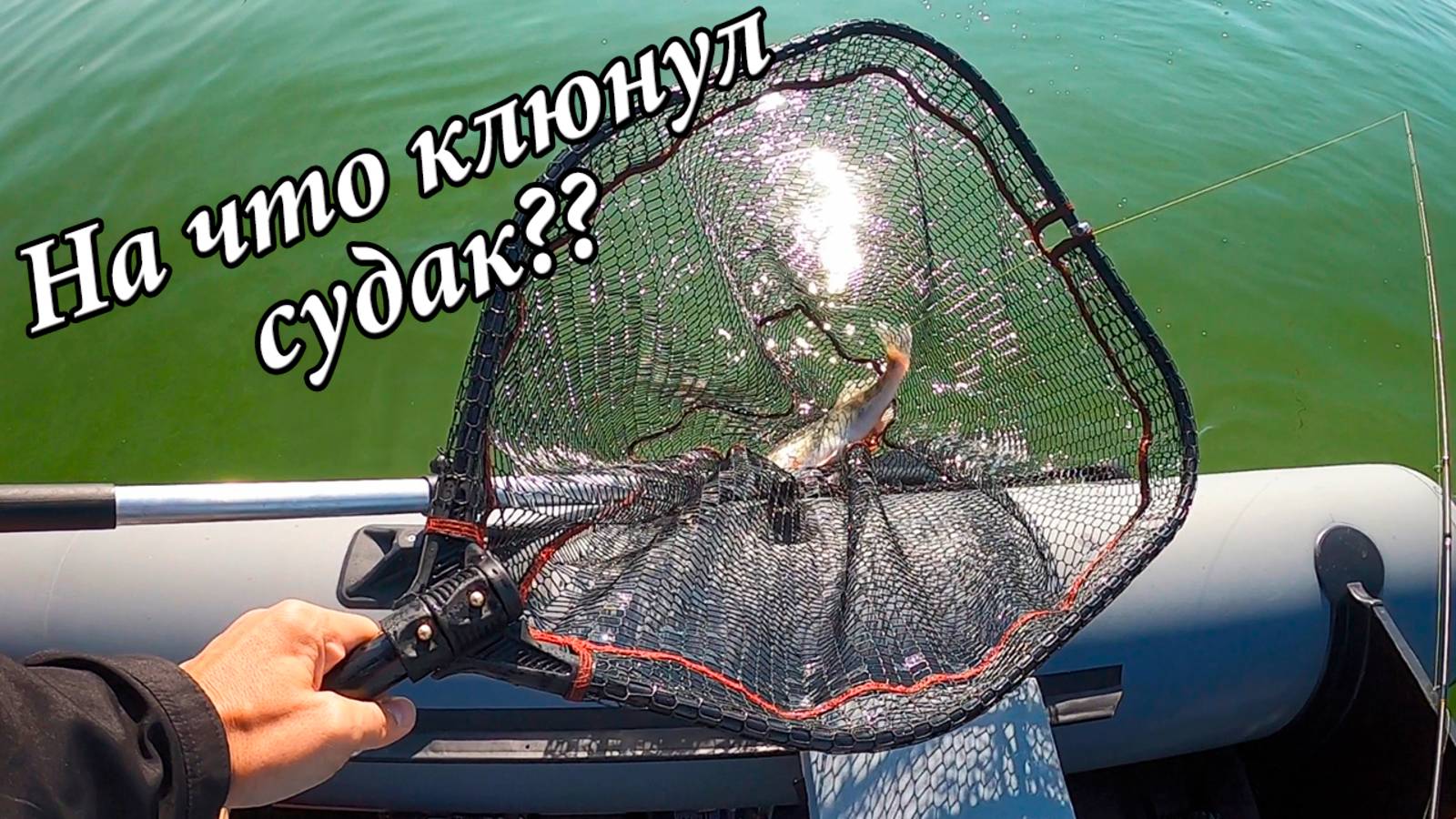 СУДАК С ЛОДКИ на Воронежском водохранилище! Продолжаем обкатку мотора HANGKAI 6 ЛС. Часть 2.