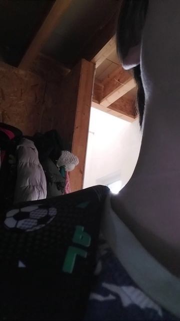 # следим за Сашей Челлендж Take Tiger 24/7.mp4