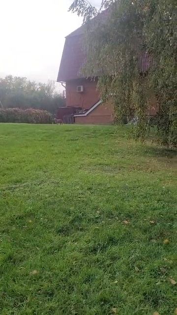 Хеппи 13 лет 8 мес., Ваниль 11 лет, Эми 7 лет. В санатории, пока мама в отпуск уехала с Ириской.