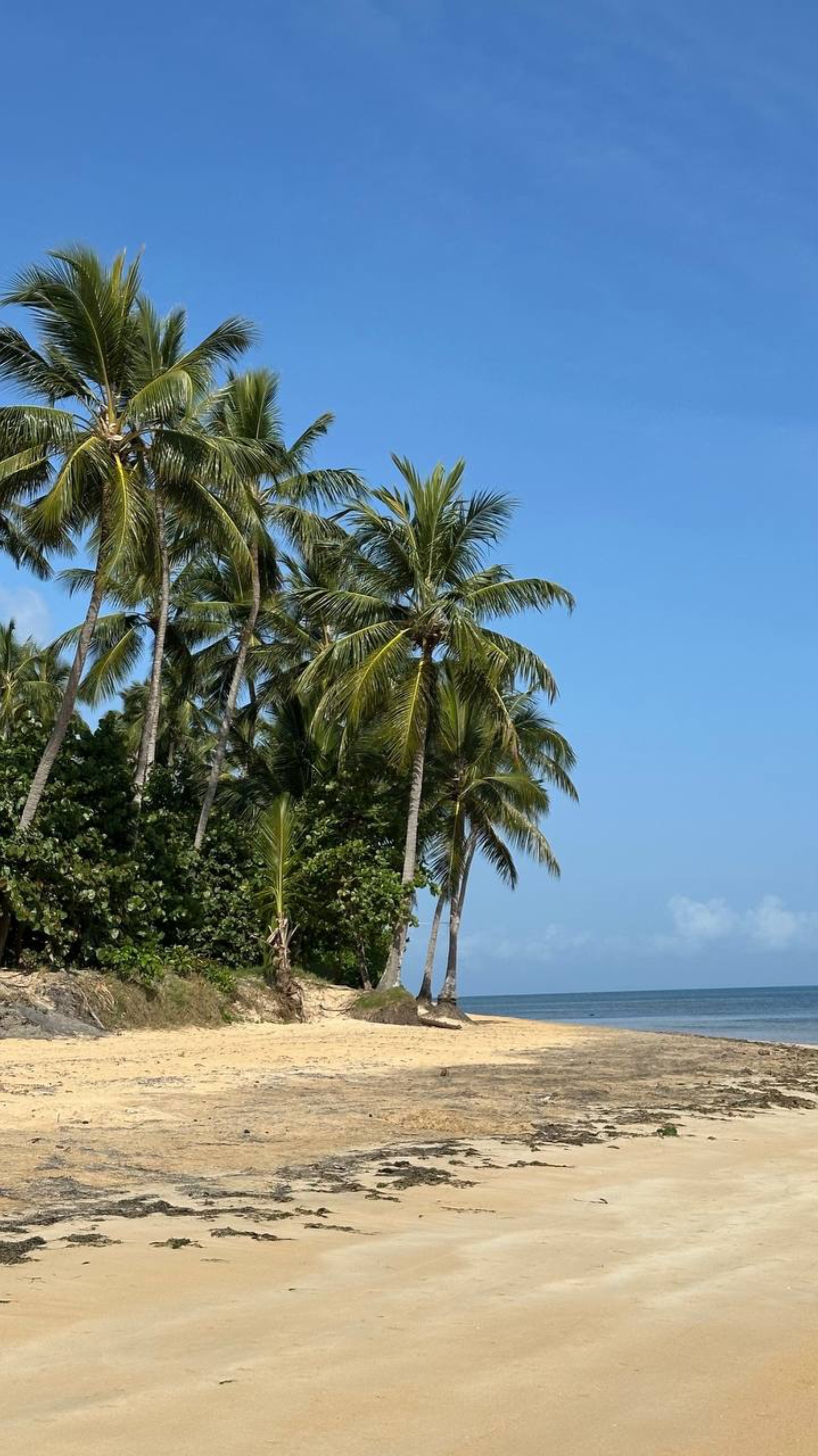 «Человеку нужен человек»Или как я переосмыслил жизнь после шоу «Звёзды в джунглях»