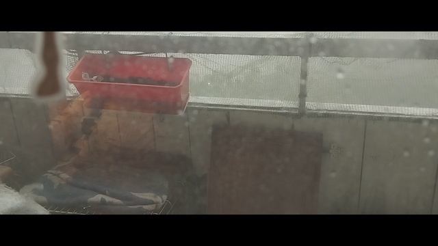 Погодные явления | 20-июн-2024