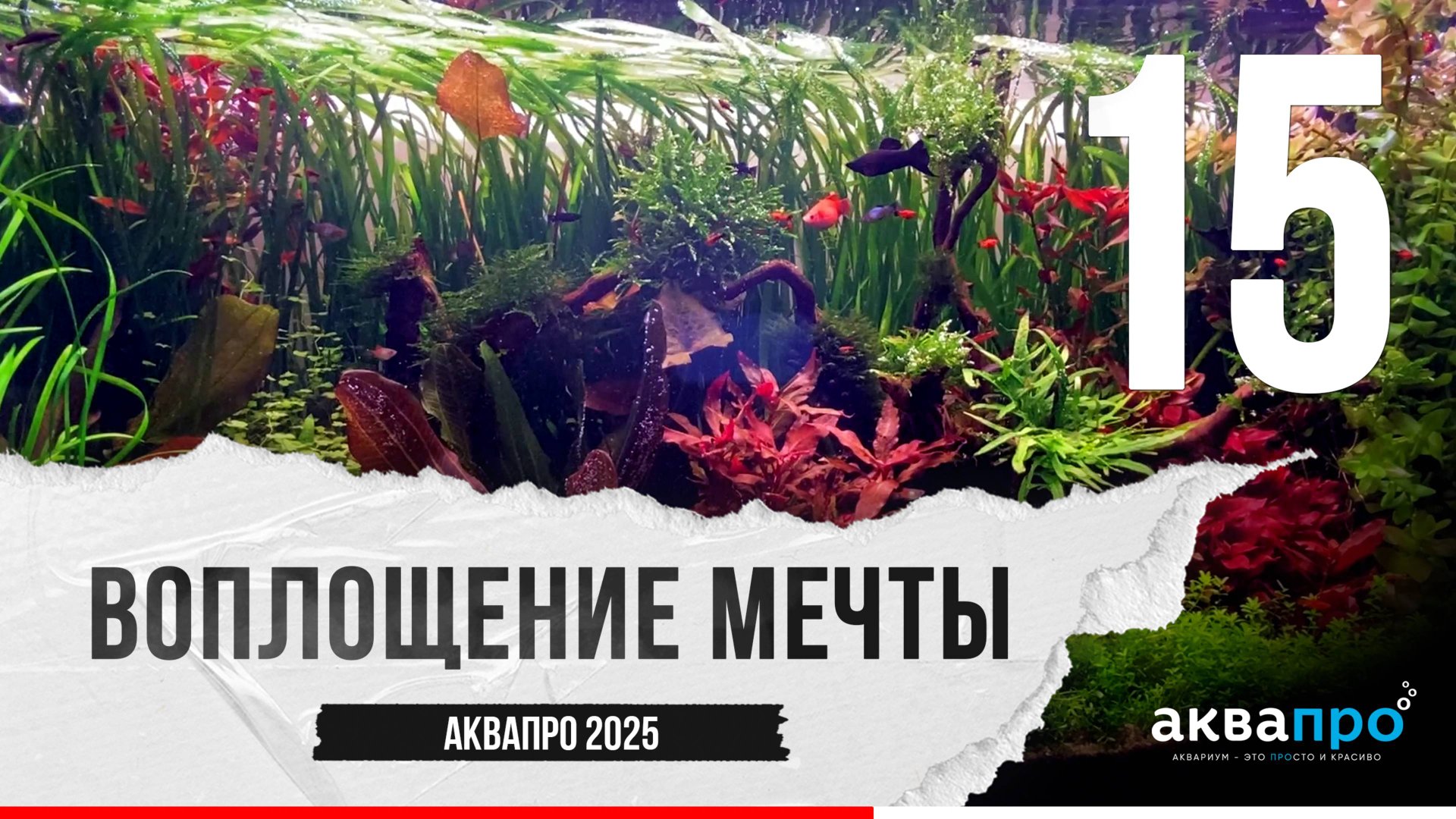 15. Воплощение мечты. #АкваПро