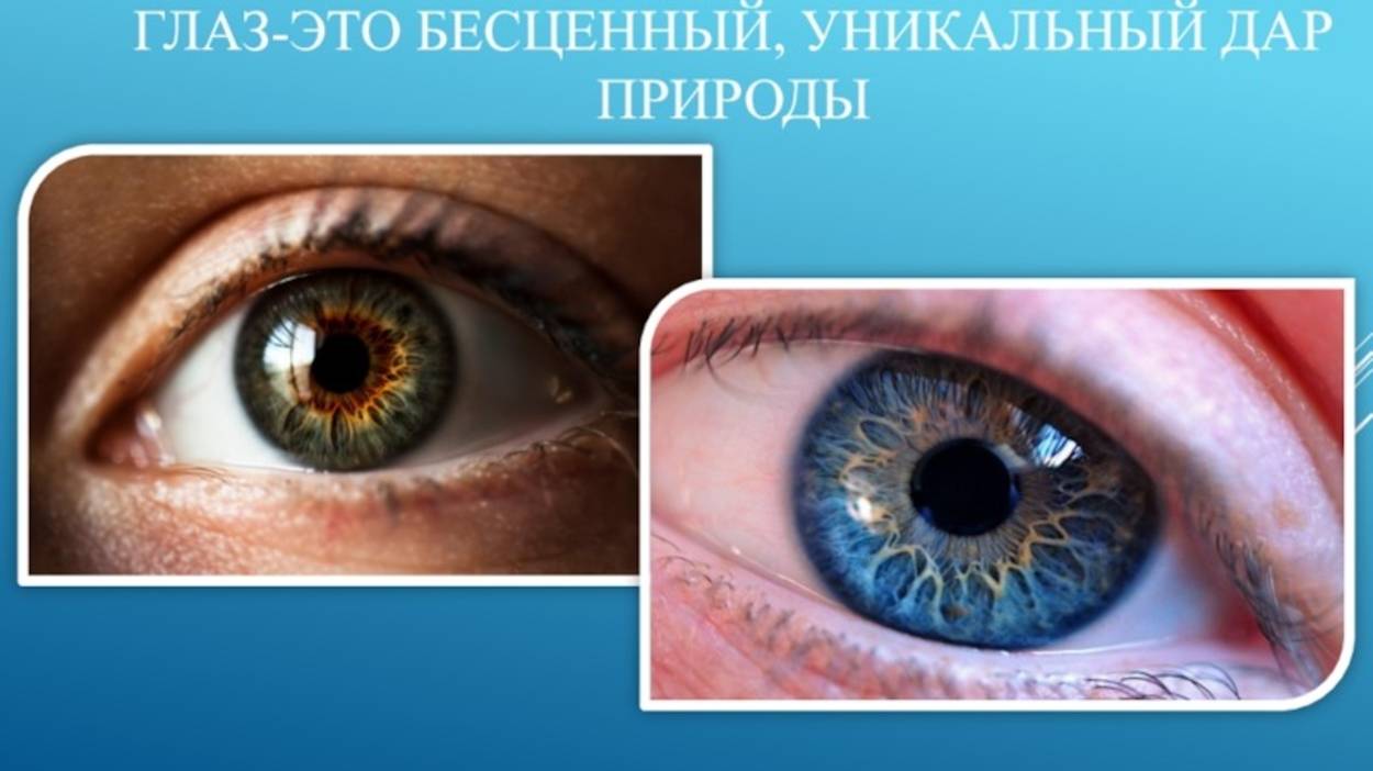 Зрение – уникальный дар, данный человеку