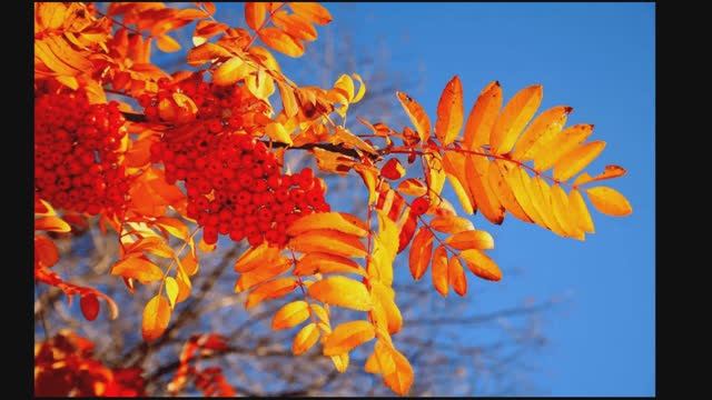 Октябрь, конечно, маем не был... Иосиф Уткин.