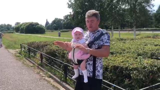 01.07.2023. Сестрорецк.