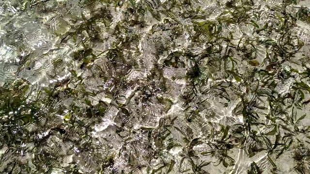 Стеклянно прозрачная вода океана!