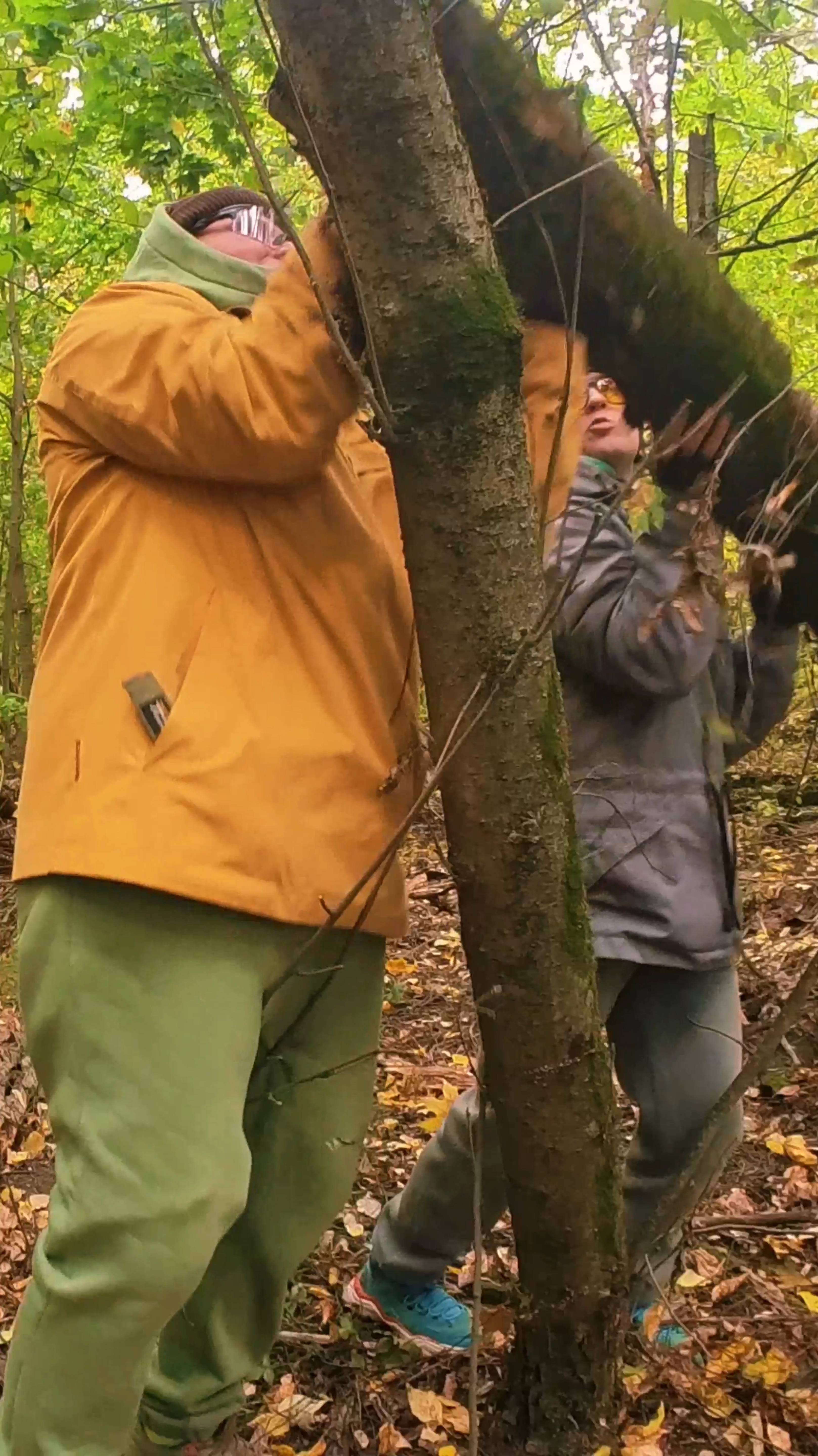 Как перестать обращать внимание на негативные комментарии?