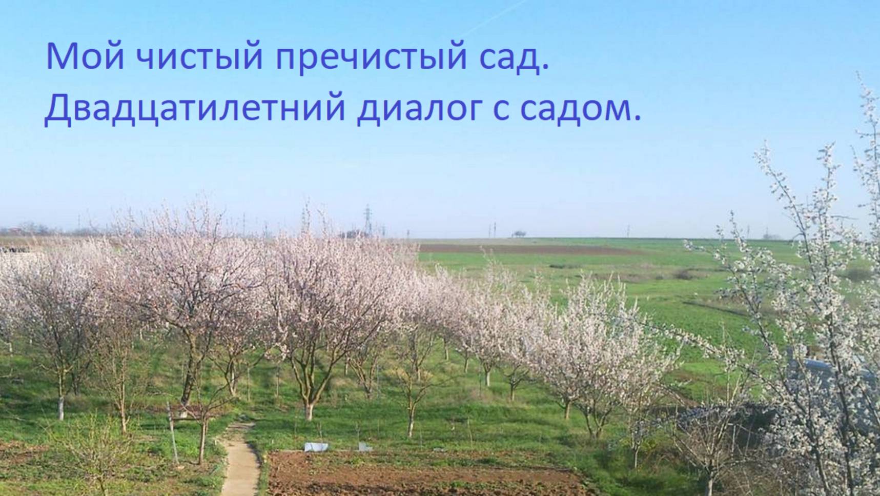 ч 1 Мой чистый пречистый сад Диалог длинною в двадцать лет .