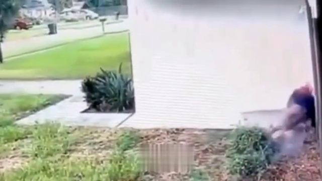 В Калифорнии афроамериканец вломился в частный дом и неожиданно столкнулся с хозяином, вооружённым..