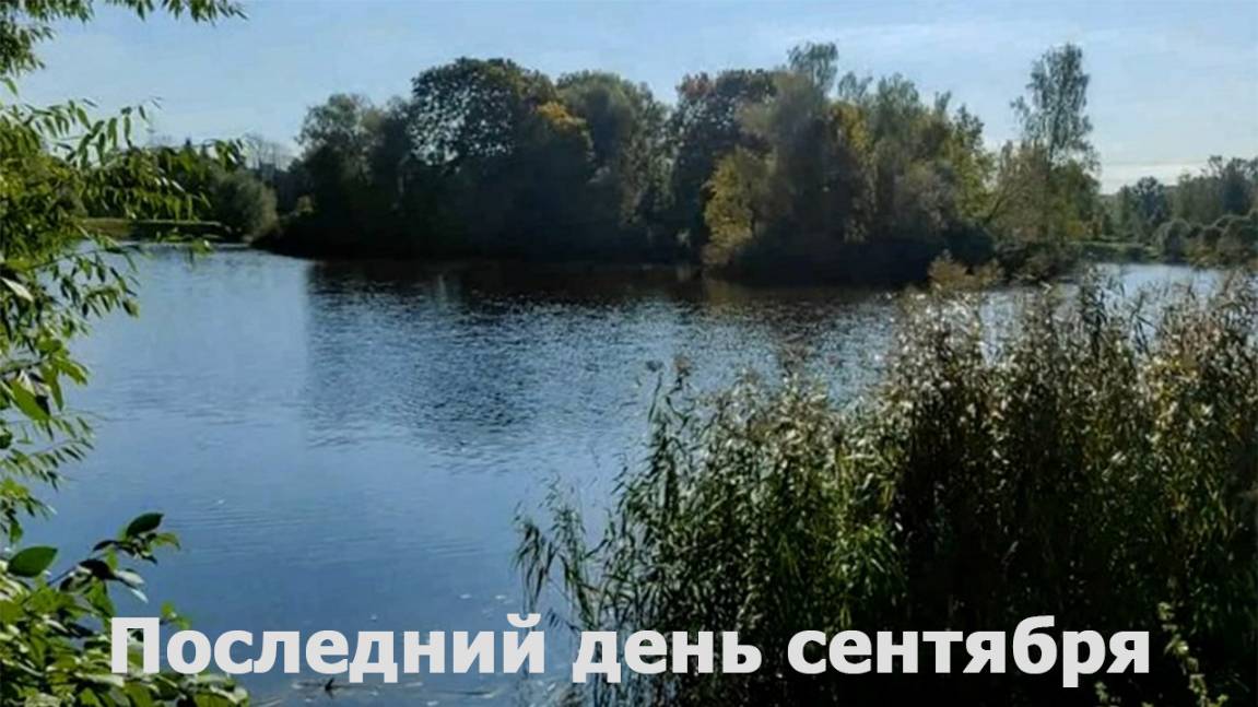 Неожиданная прогулка. (внеочередное видео).