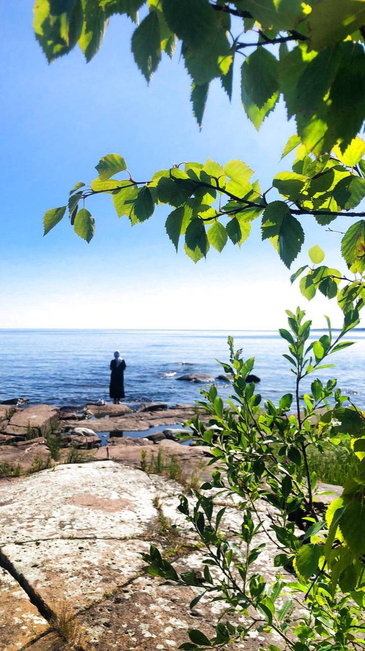 ЦИТАТЫ О ЛЮБВИ | ИГУМЕН ТИХОН (БОРИСОВ) #вечная_любовь #вечнаялюбовь #цитаты_о_любви #цитатыолюбви