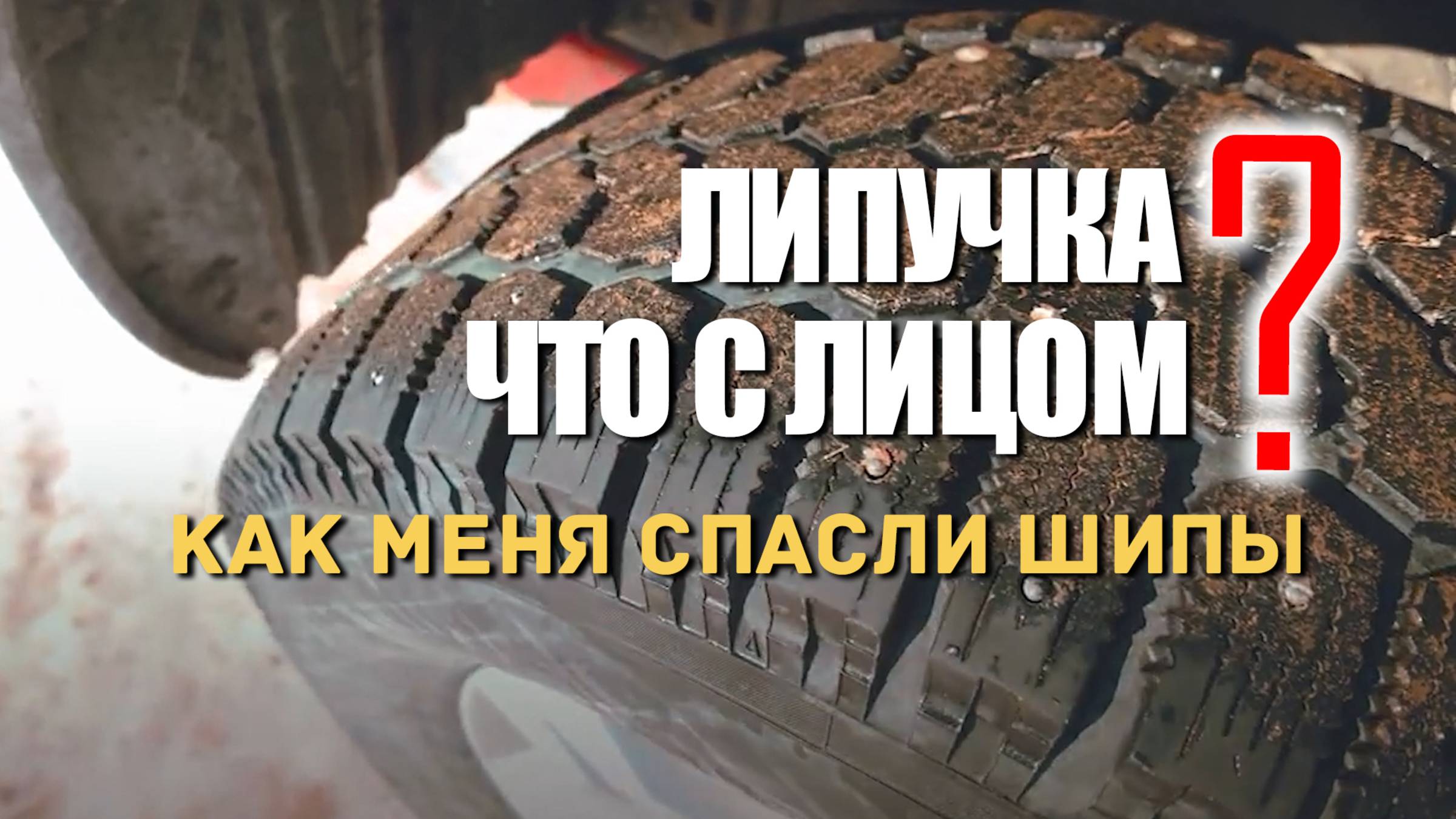 Как меня спасли шипы (всем владельцам липучки - посвящается)