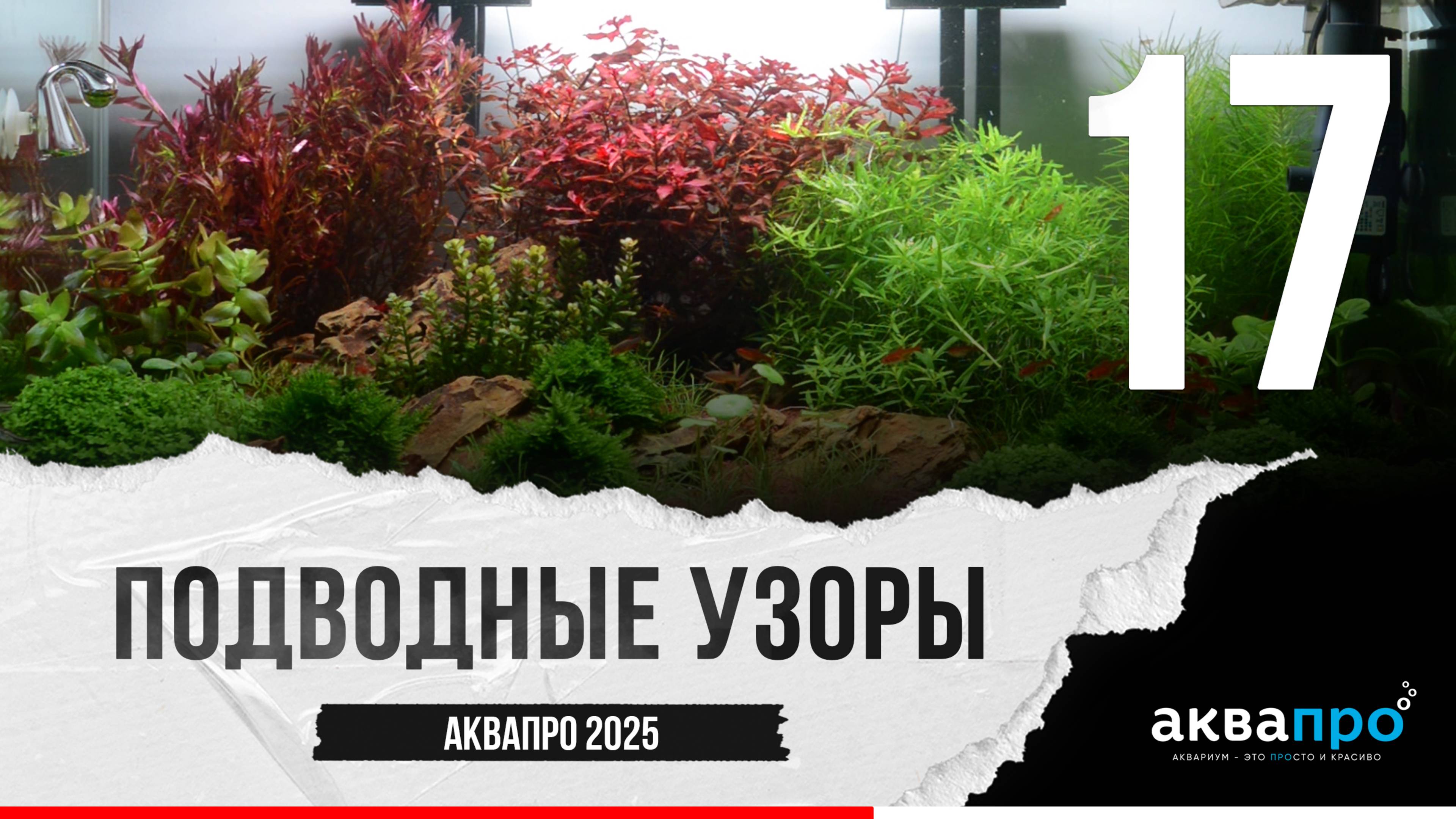17. Подводные узоры. #АкваПро