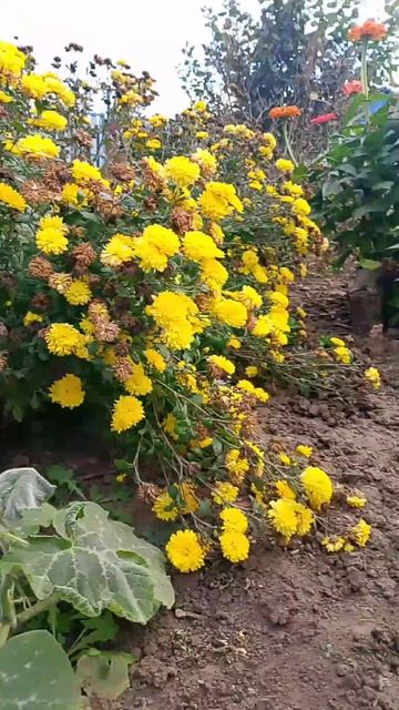 ужас в осени