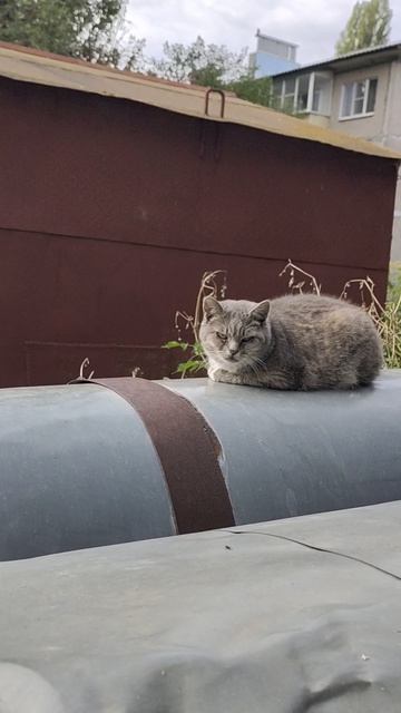 Ура!!! Коммунальщики тепло дали!