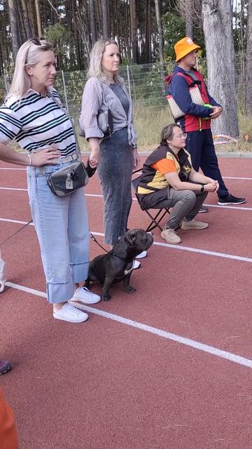 Пёсики самые верные друзья!