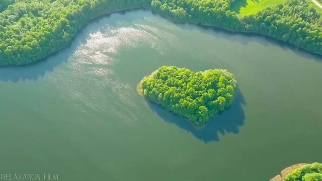 Эрнесто Кортазар. Снова вместе.  Ernesto Cortazar. Together Again