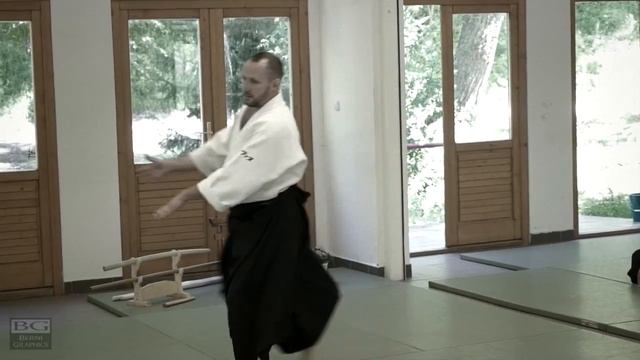 Aikido_ Stephane Goffin Balaton 2016