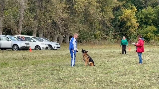 1 Отл. КЧК Zavist Bogov Imperator +++ №9. ЛИПЕЦК 20 сентября`25 Моно немецких овчарок