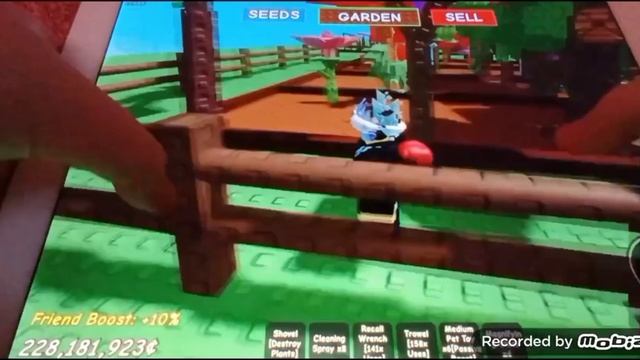 обзор на шавойда