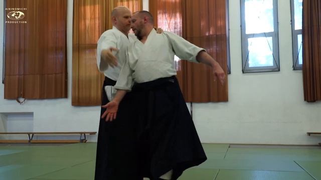 Aikido Steohane Goffin  Balaton Seminar 2020 Details 2_2
