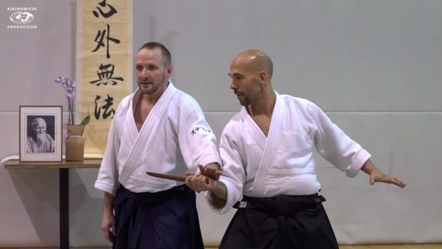 Aikido_ Detais and Explanations - Stephane Goffin