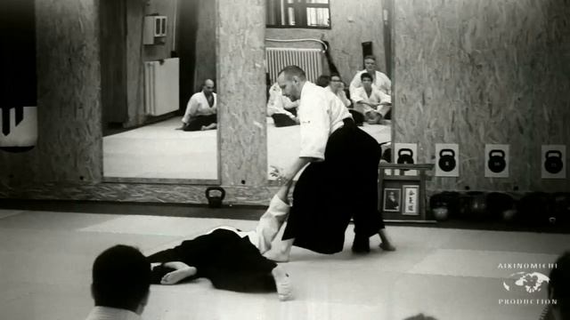 Aikido_ Stephane Goffin Budapest Feb 2020
