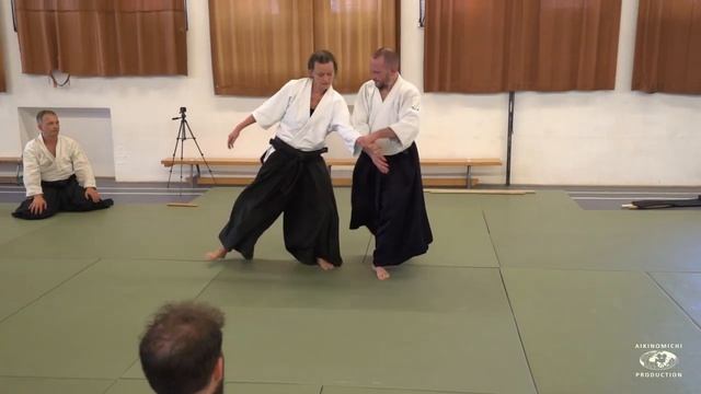 Aikido_ Stephane Goffin - Balaton18