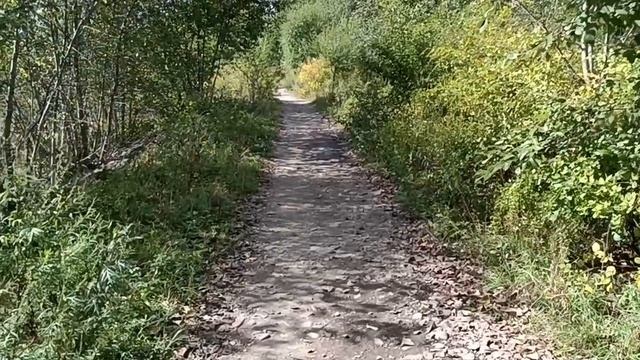 ТЫ УВИДИШЬ СВОЮ ЖИЗНЬ КАК НА БОЛЬШОМ ЭКРАНЕ ТЕЛЕВИЗОРА (9-9-2025)