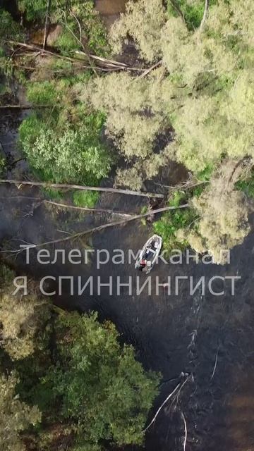 На водомёте по горным рекам