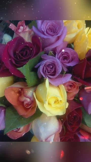 с днём учителя