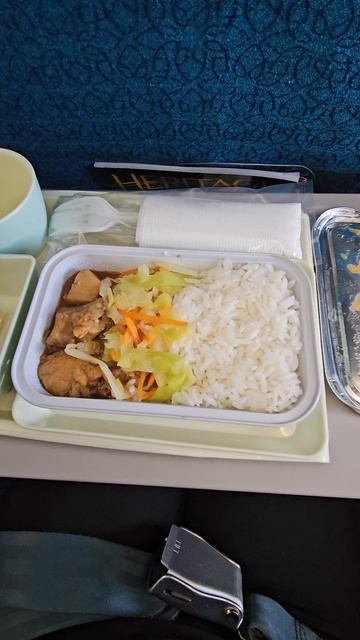 #shorts #вьетнам #фукуок Обед в самолёте/Вьетнамские авиалинии