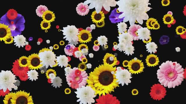 Футажи переходы Цветы