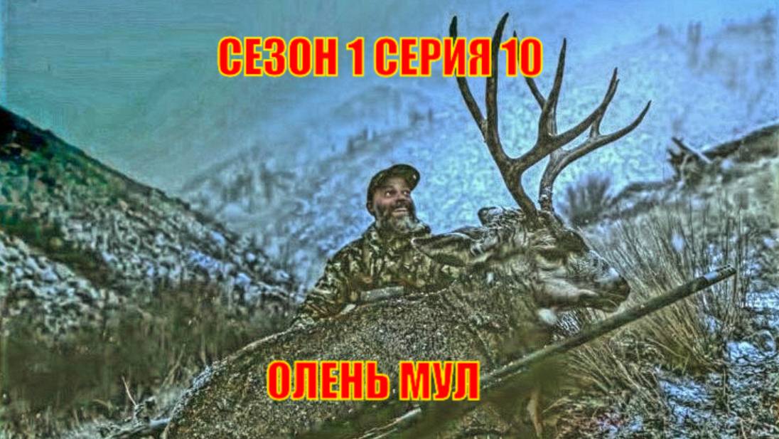 ОХОТА НА ОЛЕНЯ МУЛА СЕЗОН 1 СЕРИЯ 10