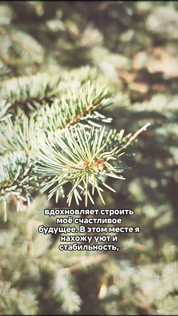 СВЯЗЬ С РОДОМ АФФИРМАЦИЯ